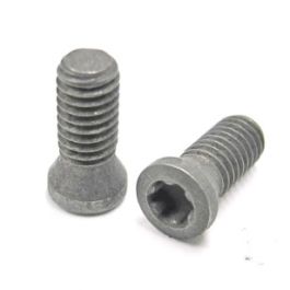 C04011-T15P TORX STYLE INSERT SCREW S