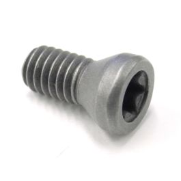 5513-020-09 INSERT SCREW-T15